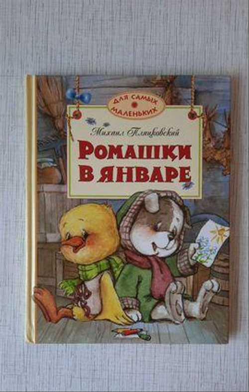 Книга Ромашки в январе