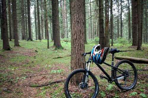 ns bikes eccentric alu 27.5