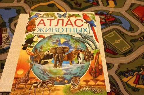 Энциклопедия "Атлас животных"