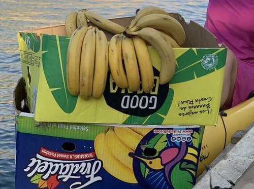 Сколько кг в ящике бананов. Ящик бананов. Бананы в ящике. Банан лоток. Полные банановые ящики.