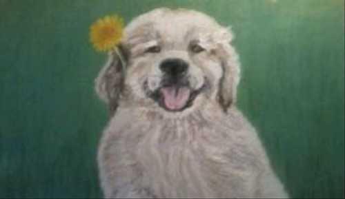 Картина маслом. Белый щенок. Портрет собаки