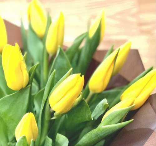 Цветы тюльпаны