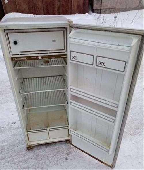 Холодильник Бирюса Доставка