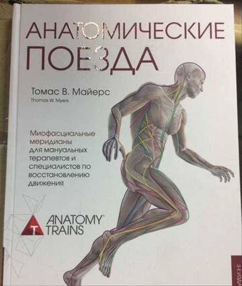 Книга томаса майерса анатомические поезда. Анатомические поезда Майерса. Анатомические поезда Маярса.