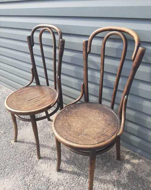 Старинные стулья Тонет