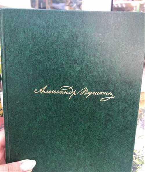 Komok А.С. Пушкин «Дубровский»