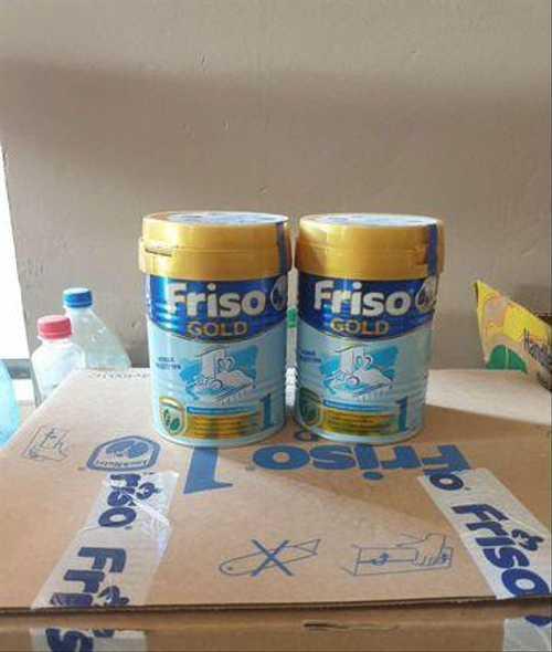 Friso gold 1