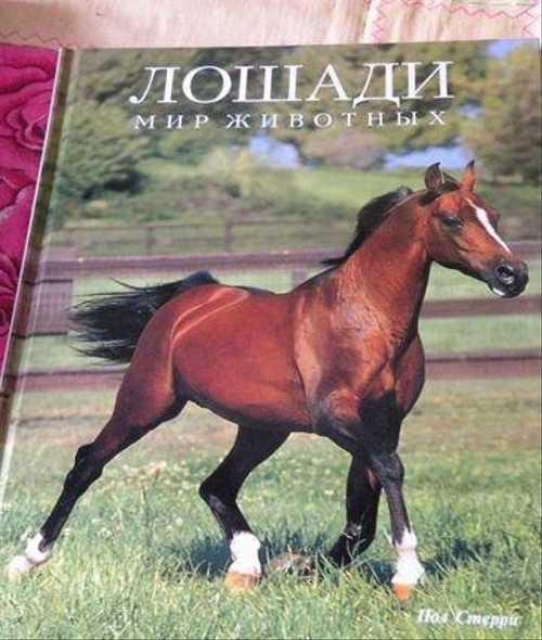 Купить книгу лошади. Книги про лошадей. Мир книги лошади. Самый красивый конь книга купить. Розовая лошадь книжка.