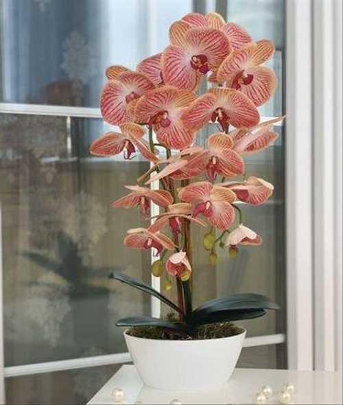 Цветочная композиция из орхидей