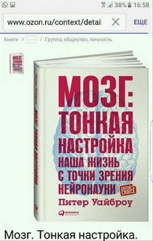 Питер Уайброу. Мозг тонкая настройка