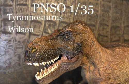 1 35 Tirannosaurus Wilson pnso