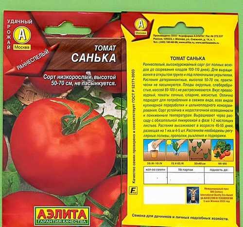 Рассада томата санька