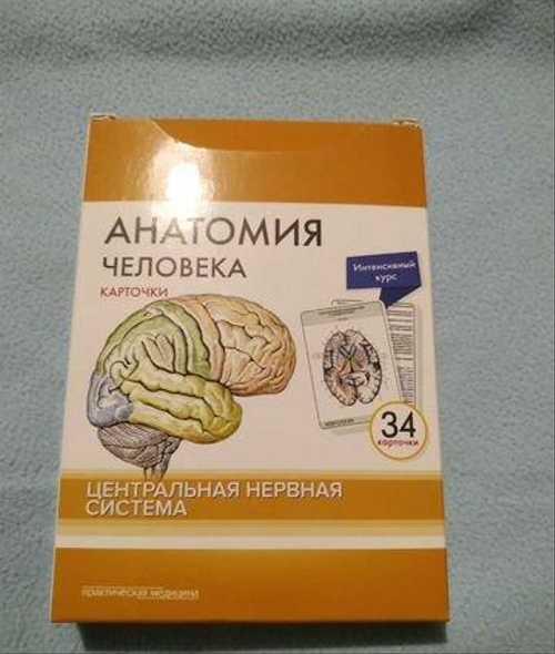 Карточки по анатомии