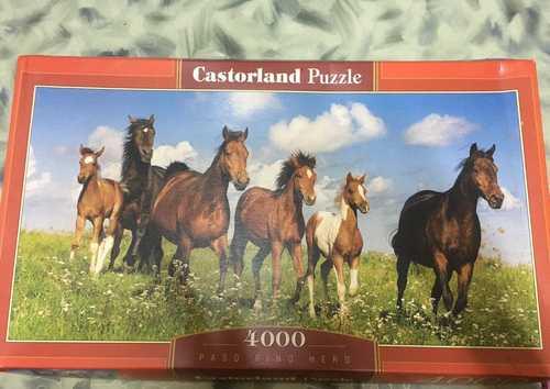 Пазлы Castorland