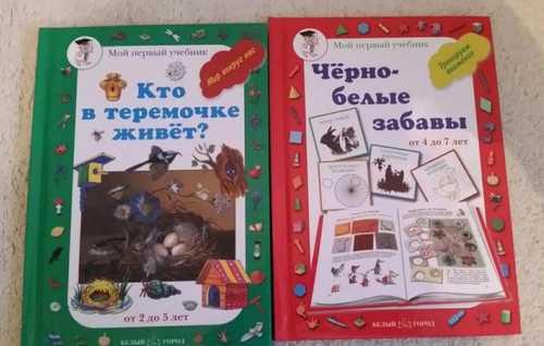 Книги "Мой первый учебник" Белый город