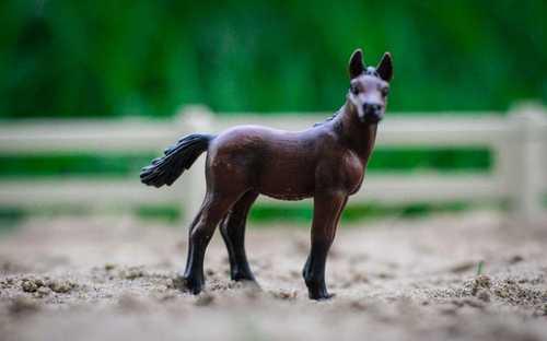 Арабский жеребенок Schleich 2012 год