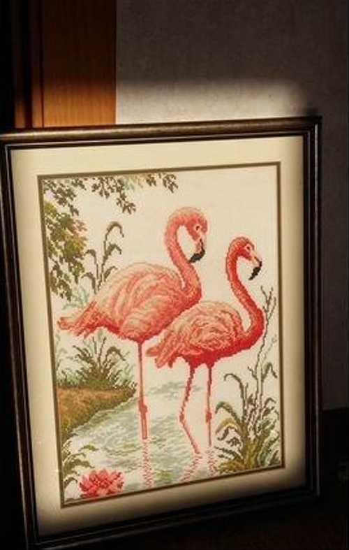 Пара фламинго
