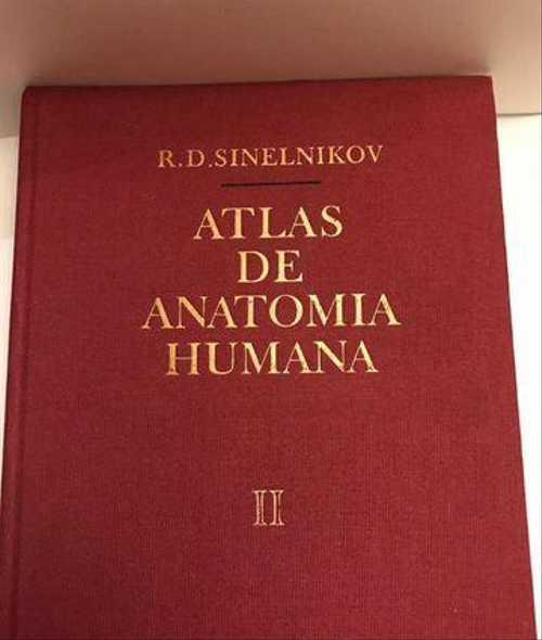 Р.Д. Синельников Атлас анатомии человека