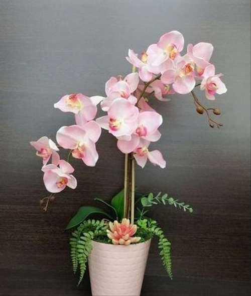 Композиция из орхидей фаленопсис