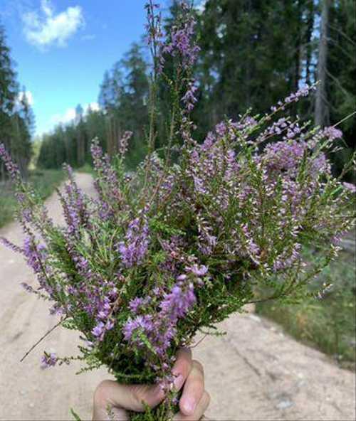 Вереск букеты на заказ