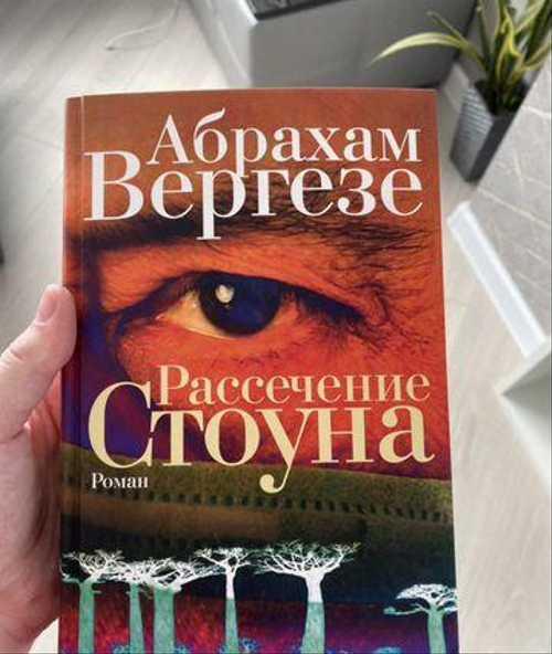 Книга Рассечение Стоуна