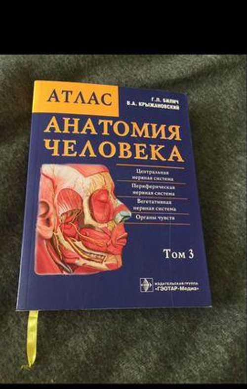 Атлас нормальной анатомии. Анатомический атлас для массажистов. Анатомический атлас подарочный. Анатомический атлас ЦНС. Атлас анатомии человека беременность.