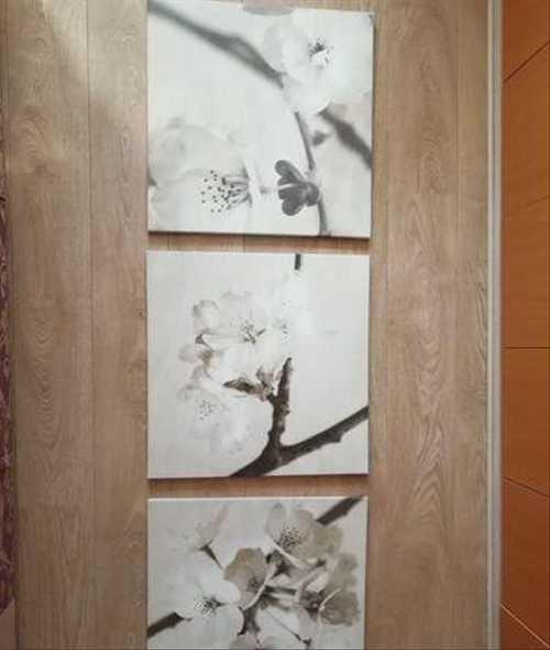 Картины 3шт pjatteryd IKEA