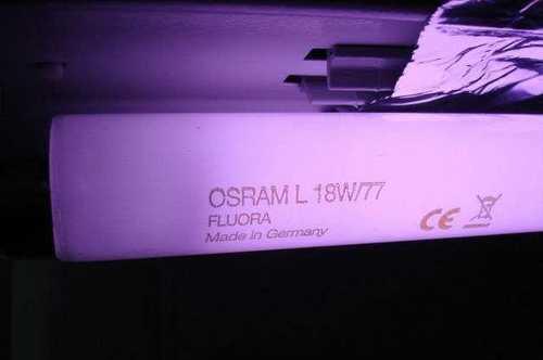 Фитолампы Osram fluora 10 штук