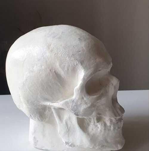 Гипсовая фигура, череп