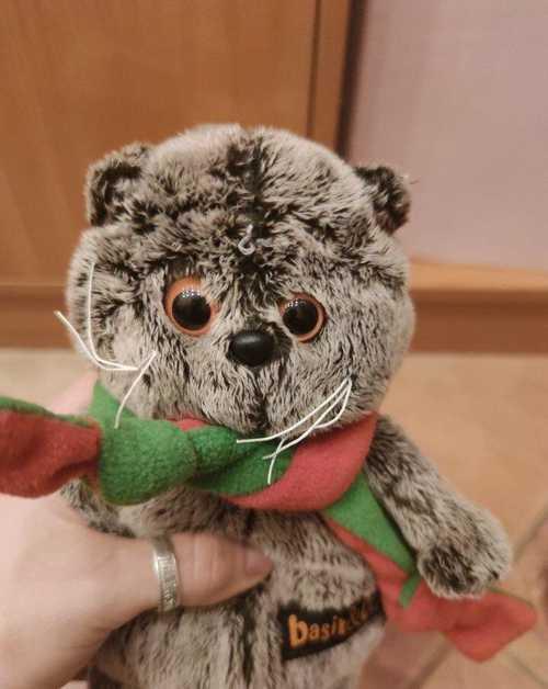 Кот плюшевый, Басик