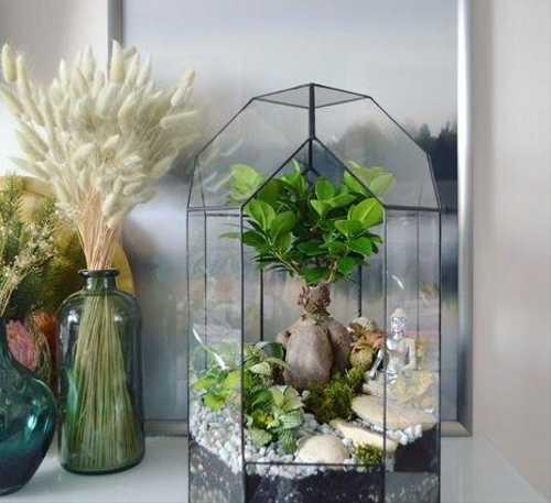 Флорариум Оранжерея с бонсай и буддой в наличии