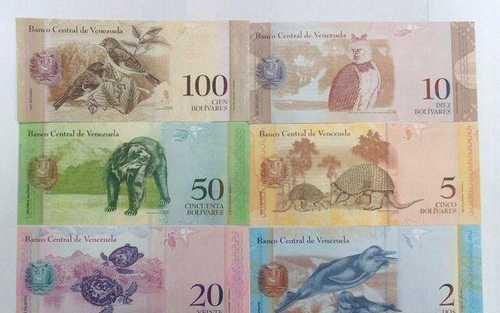 Венесуэла. Набор 6 банкнот с животными, пресс