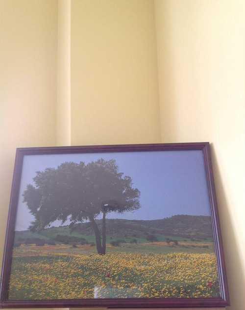 Картина "Желтые ромашки" рамка со стеклом 40х30см
