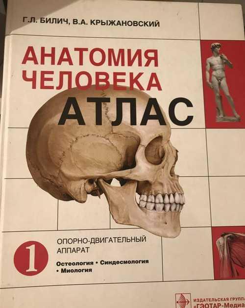 Анатомия человека Билич Крыжановский. Билич Крыжановский анатомия человека атлас. Билич Крыжановский атлас Спланхнология.