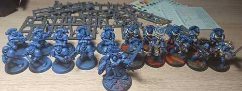 Warhammer Space marines