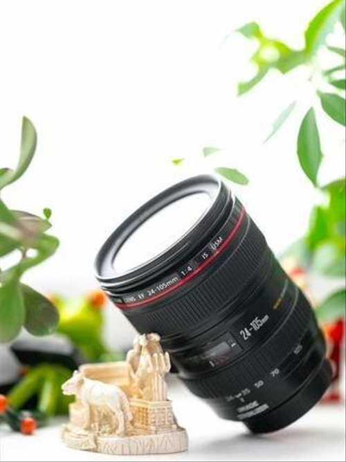 Canon EF 24-105mm f/4L IS USM (435)