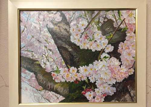 Картина маслом 40х50 "Цветение Сакуры» в рамке