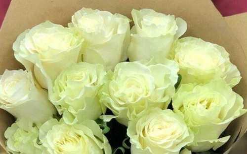 Розы белые 11 штук Proud