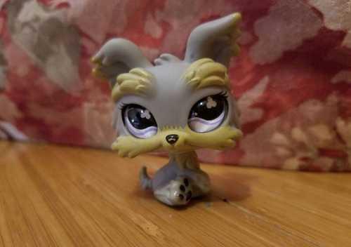 Littlest pet shop