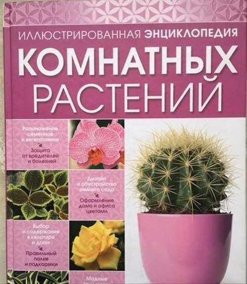 Энциклопедия комнатных растений