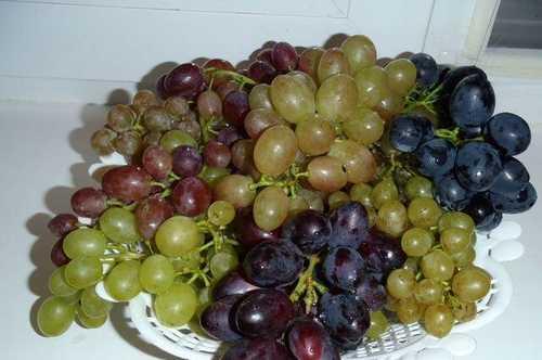 Черенки винограда из Подмосковья