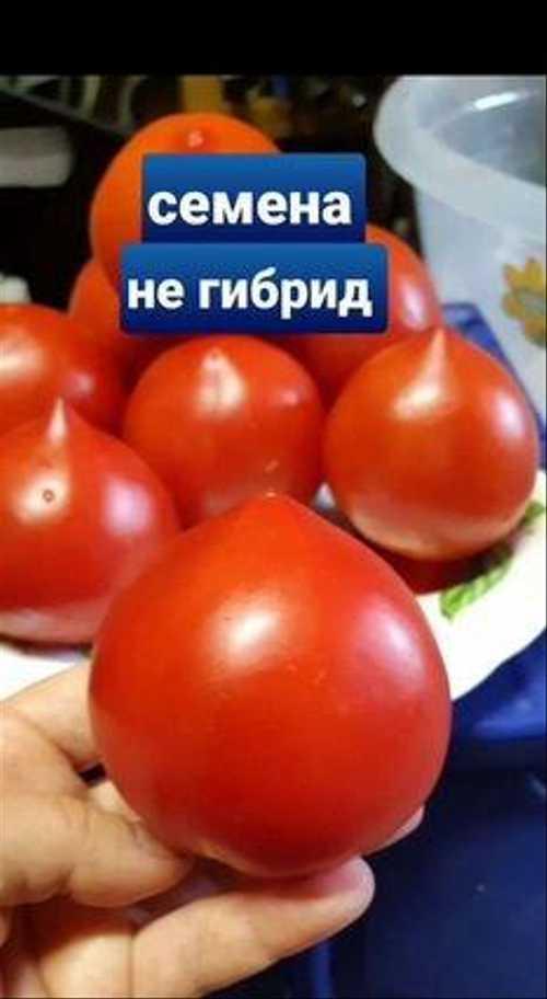 Семена помидор из СССР