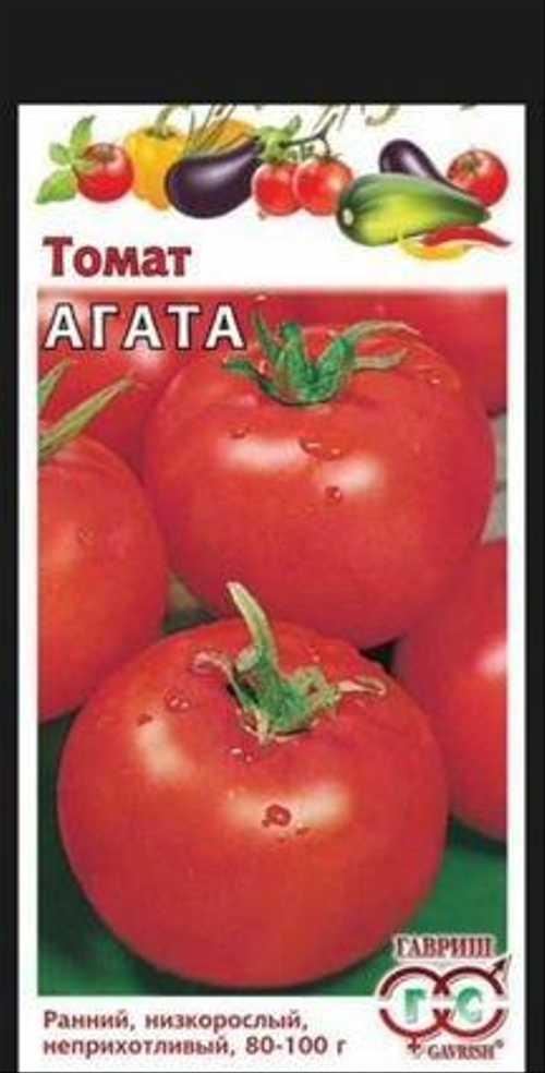 Рассада помидор "агата"