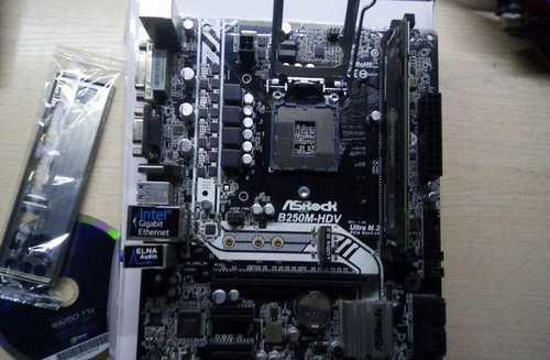 Материнская плата ASRock B250M-HDV