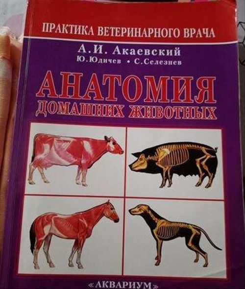 Книги учебники