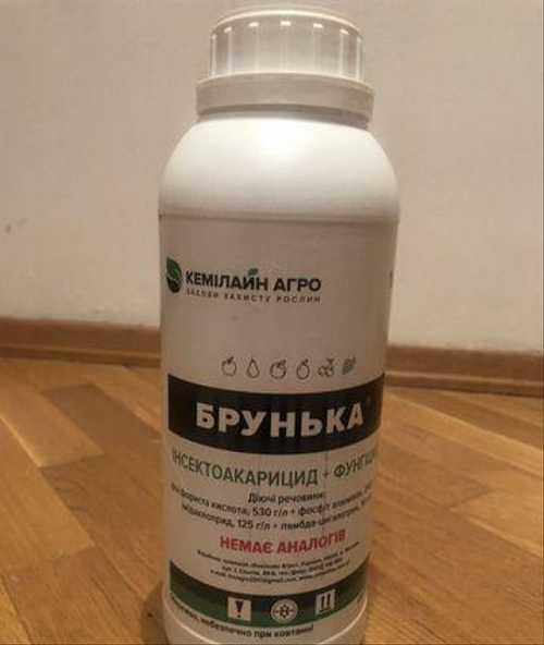 Брунька