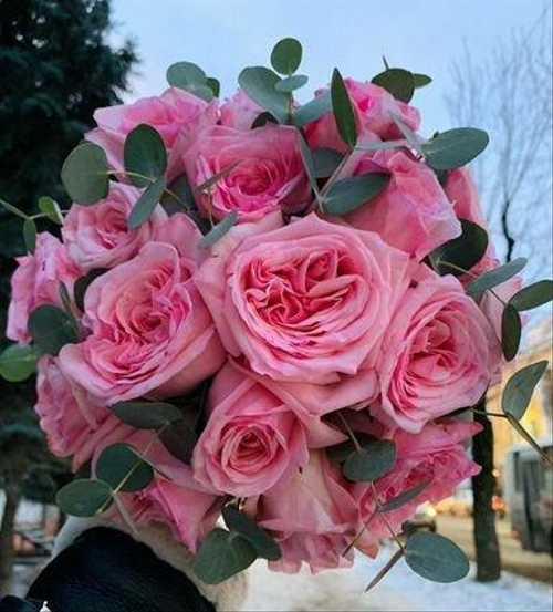 Английские пионовидные ароматные розы