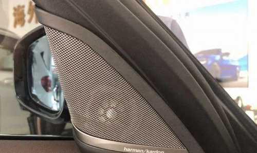 Сетки для Bmw G30 Harman Kardon 2 штуки