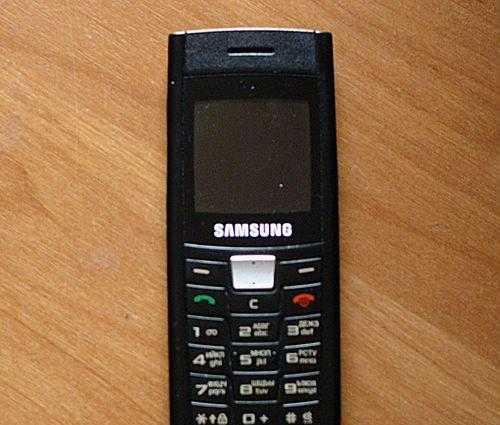 Samsung SGH-C170 Б\У (без батареи)