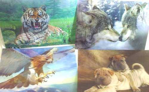 Картины 3D, 4 вида
